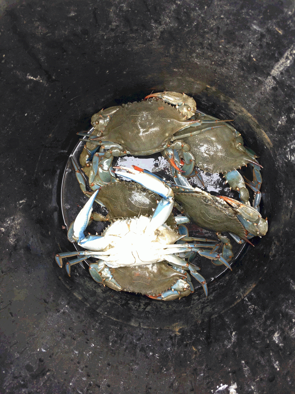 May River Excursions | Daufuskie Island Tours - Bluffton, SC