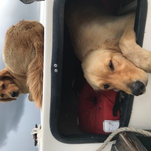 About Us | May River Excursions