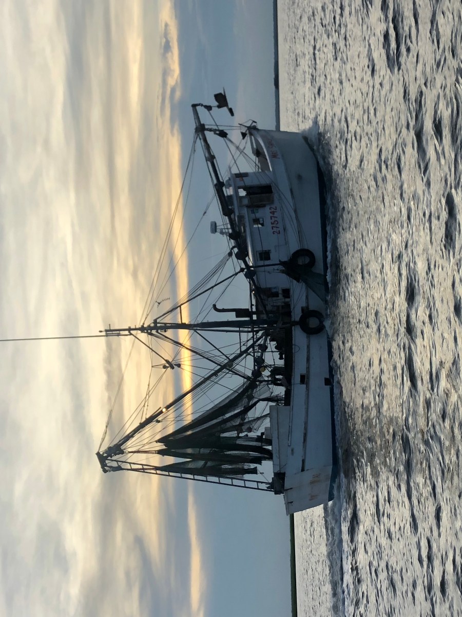 May River Excursions | Daufuskie Island Tours - Bluffton, SC