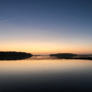 About Us | May River Excursions