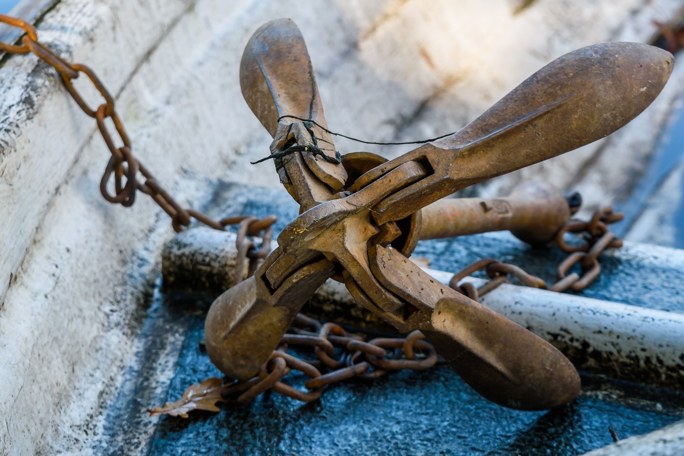 Fishing & River Excursions | May River Excursions